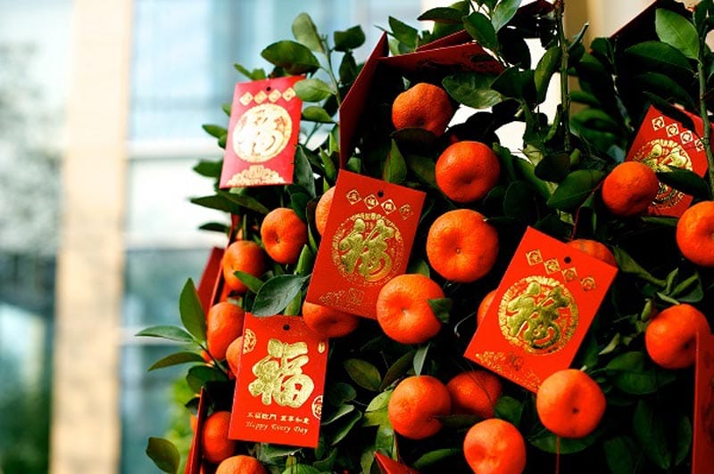 Dạy con quản lý tiền lì xì sao cho hợp lý - Happy Live