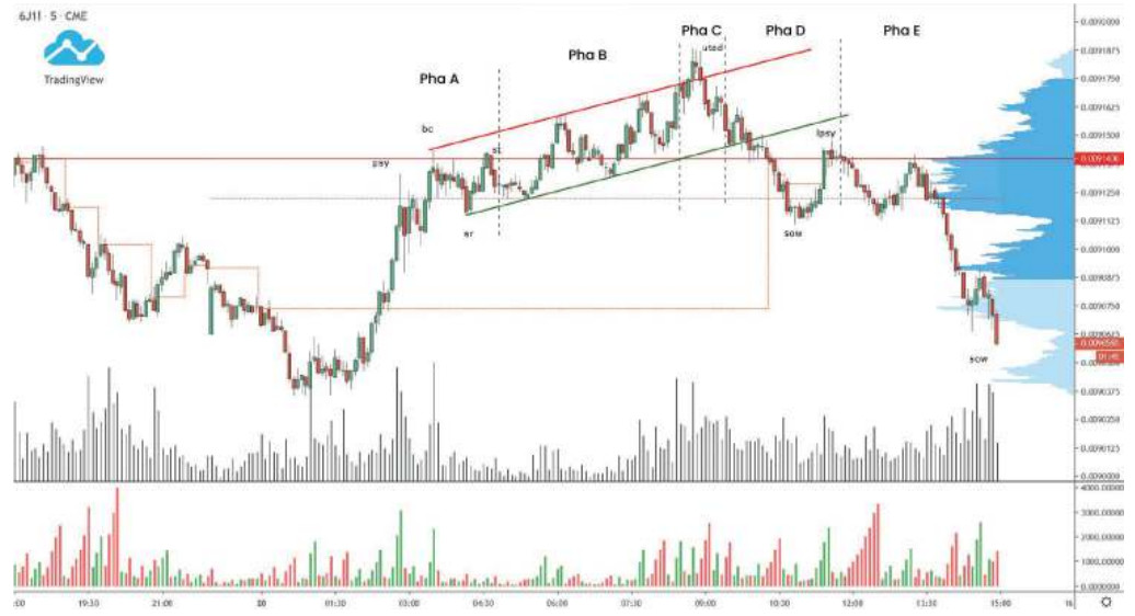 Học và thực hành phương pháp Wyckoff 2.0: Mẫu hình bất thường trên thị ...