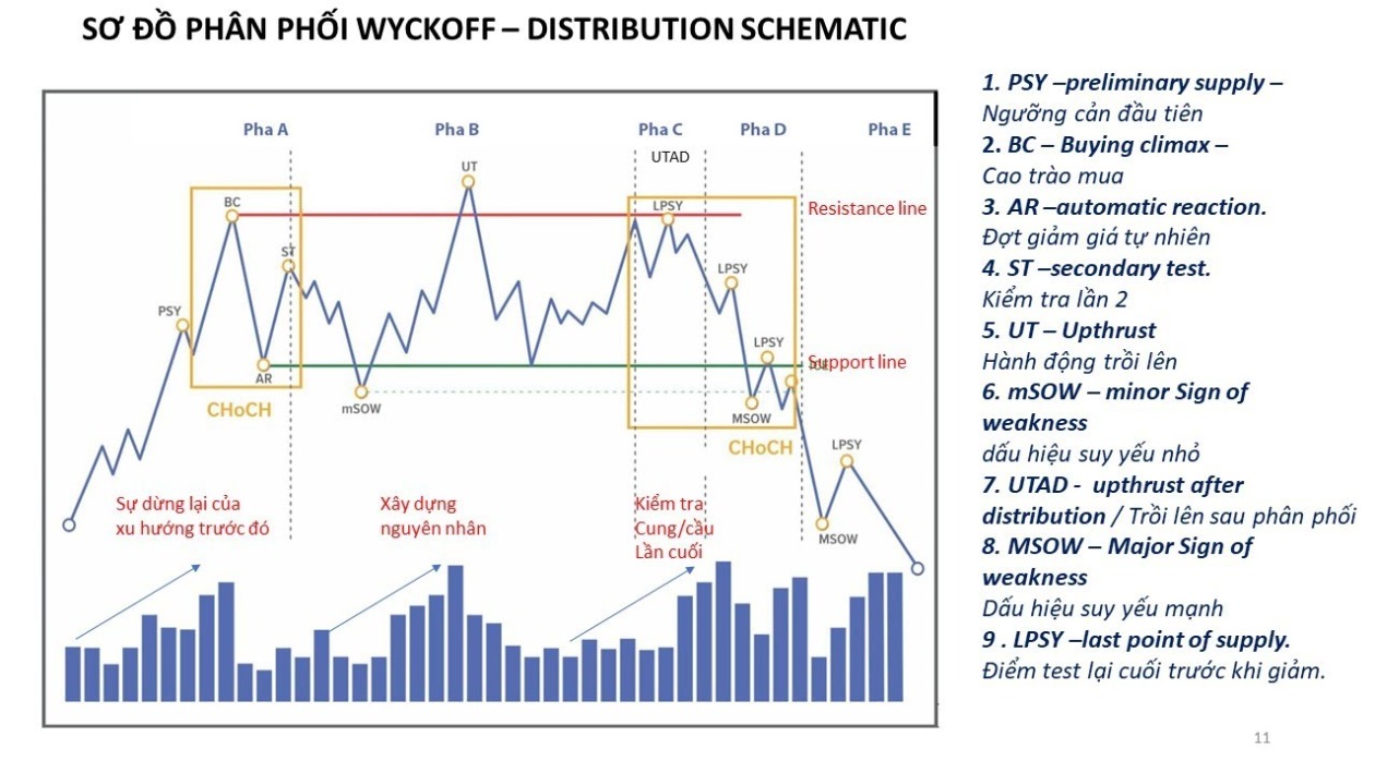 Cấu trúc toàn diện của phương pháp luận Wyckoff - Happy Live